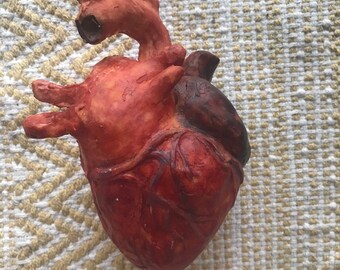Realistic Heart Prop latex - Etsy