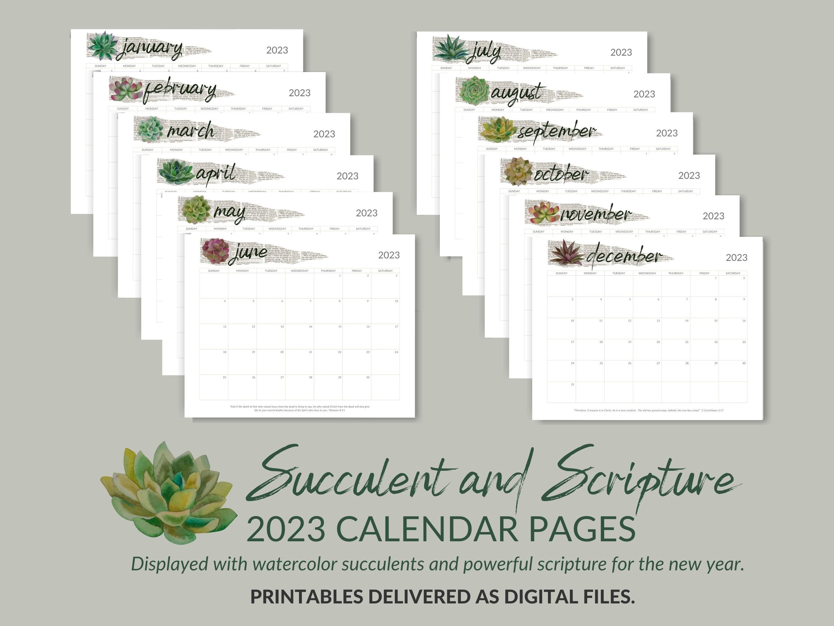 Printable Succulent Bible Verse Bundle - Etsy