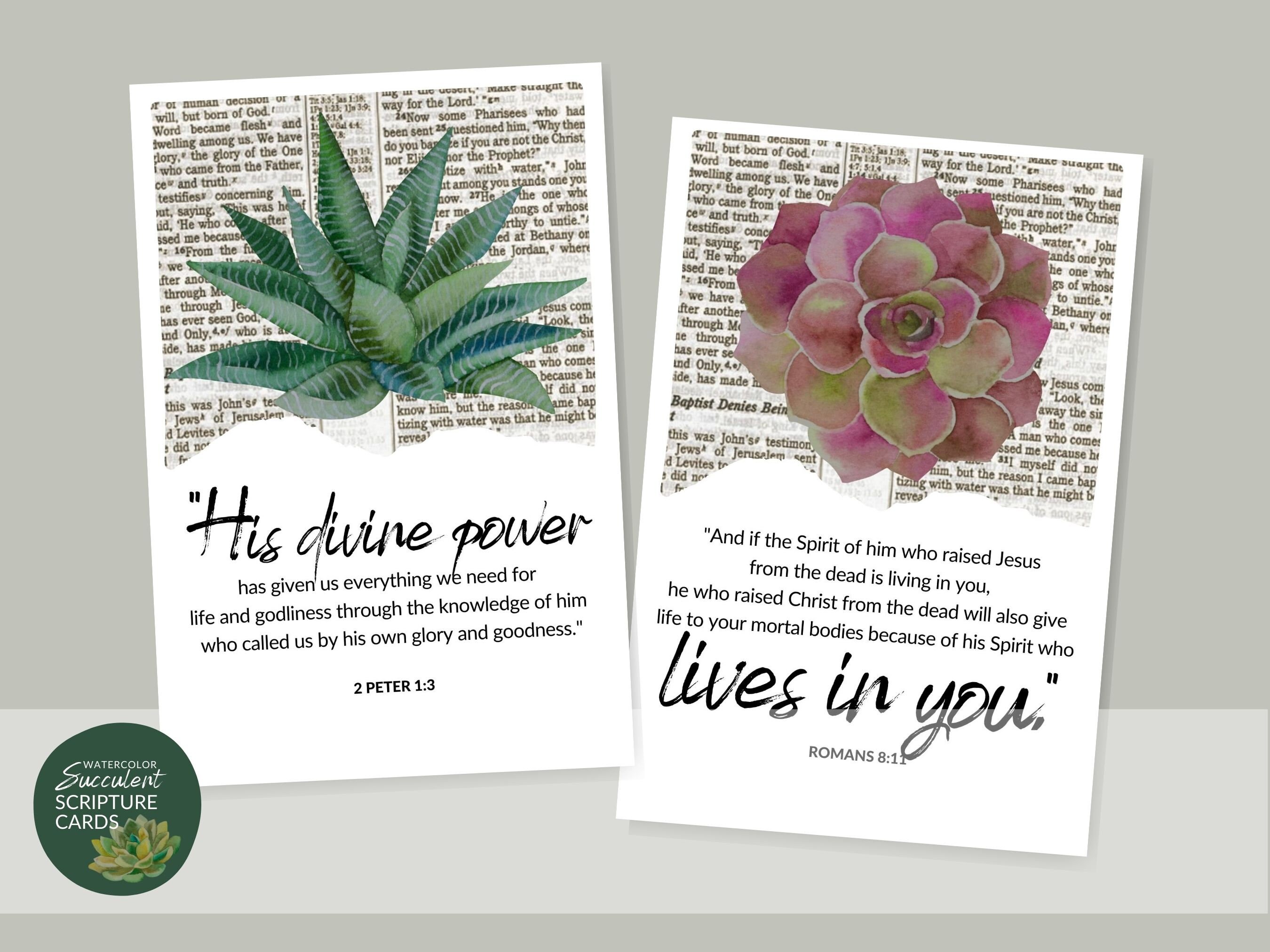 Printable Succulent Bible Verse Cards - Etsy