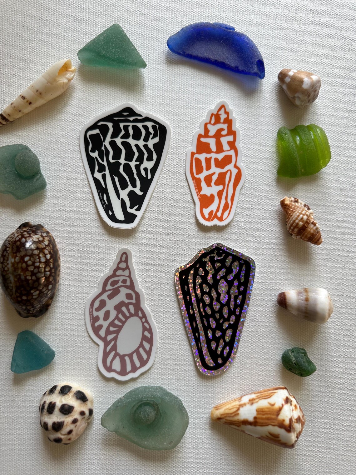 Hawaiian Shell Stickers- Hebrew, Sunrise Shell, Triton, Seaglass ...