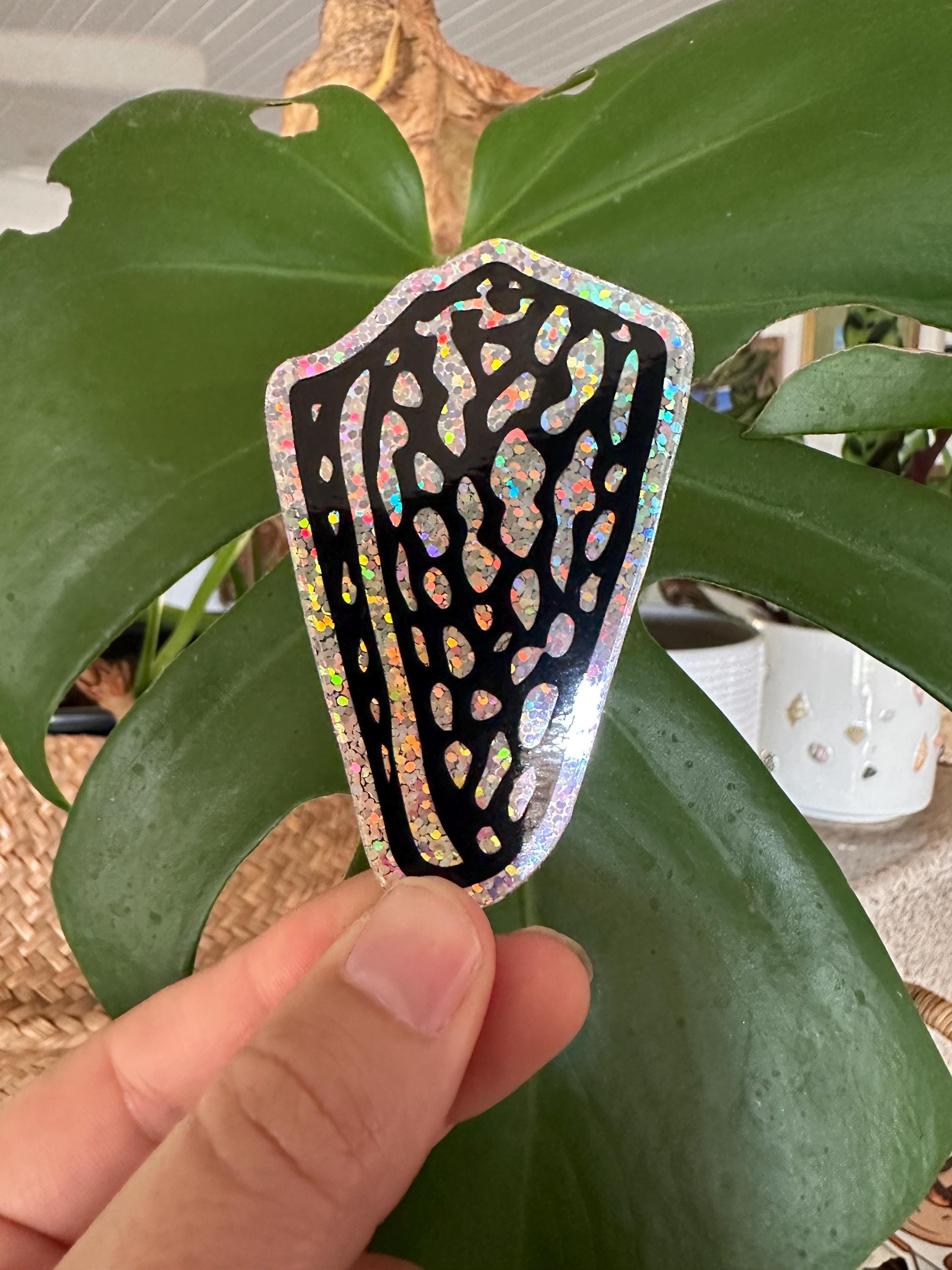 Hawaiian Shell Stickers- Hebrew, Sunrise Shell, Triton, Seaglass ...