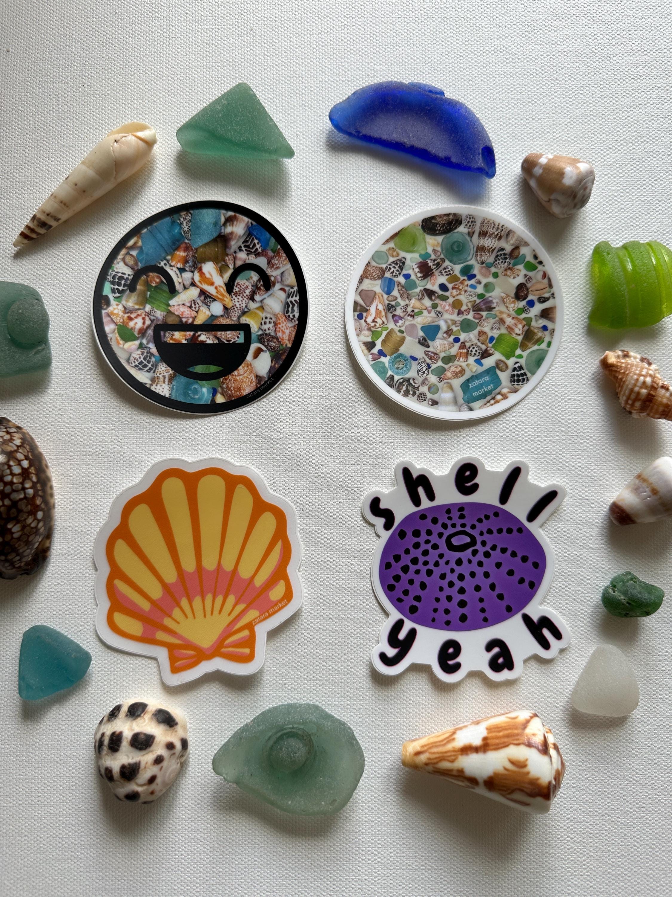 Hawaiian Shell Stickers- Hebrew, Sunrise Shell, Triton, Seaglass ...