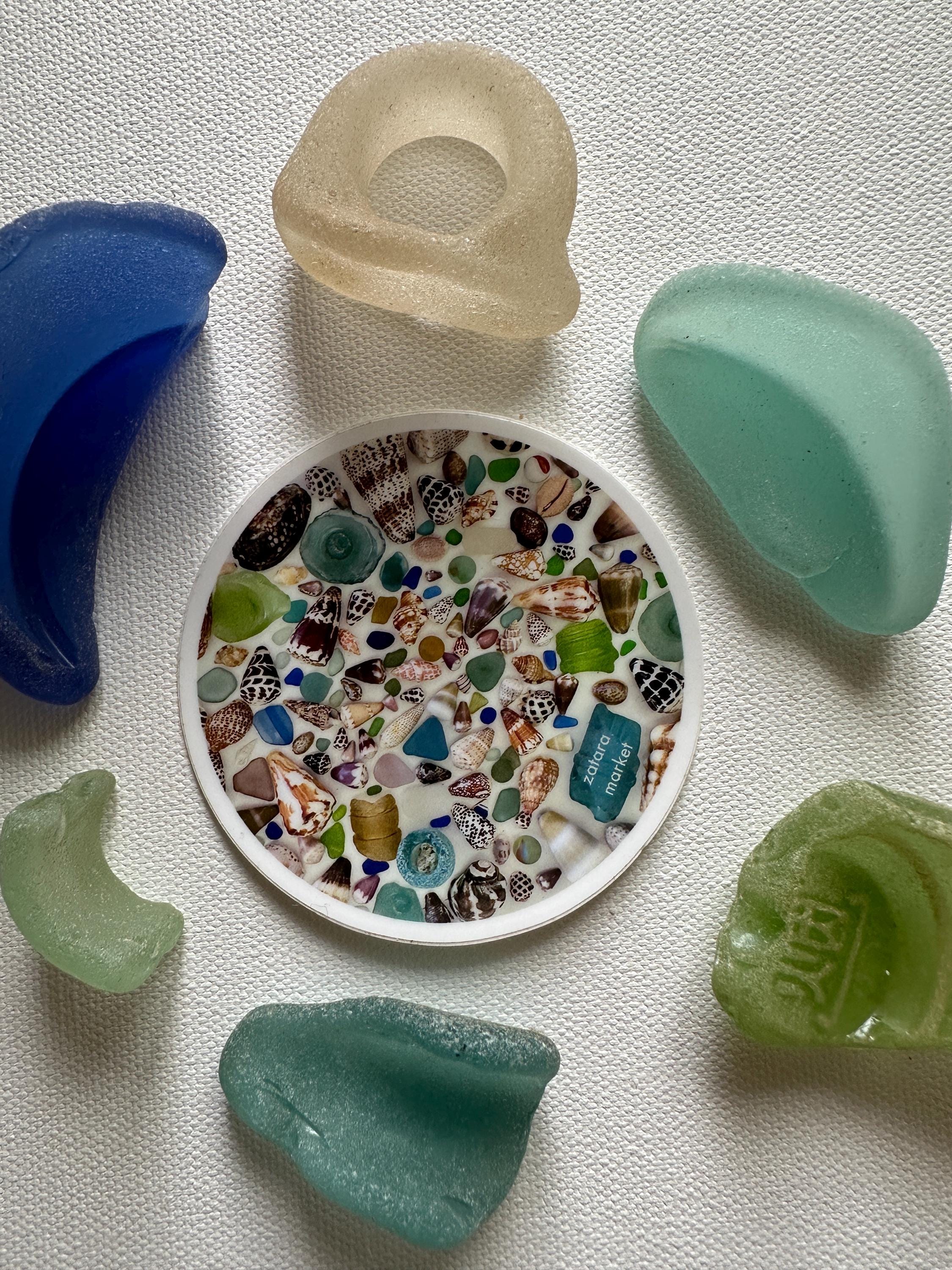 Hawaiian Shell Stickers- Hebrew, Sunrise Shell, Triton, Seaglass ...