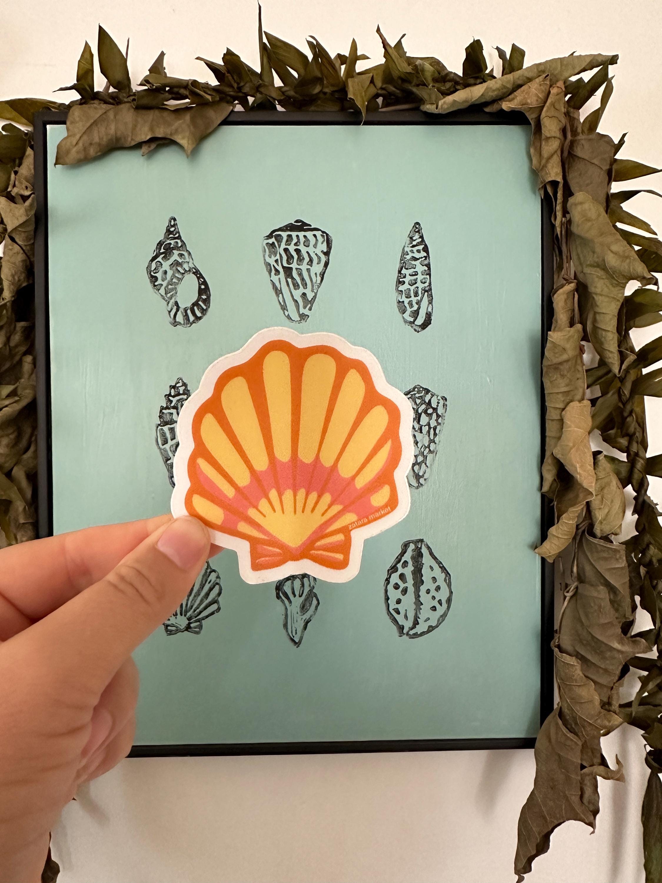 Hawaiian Shell Stickers- Hebrew, Sunrise Shell, Triton, Seaglass ...