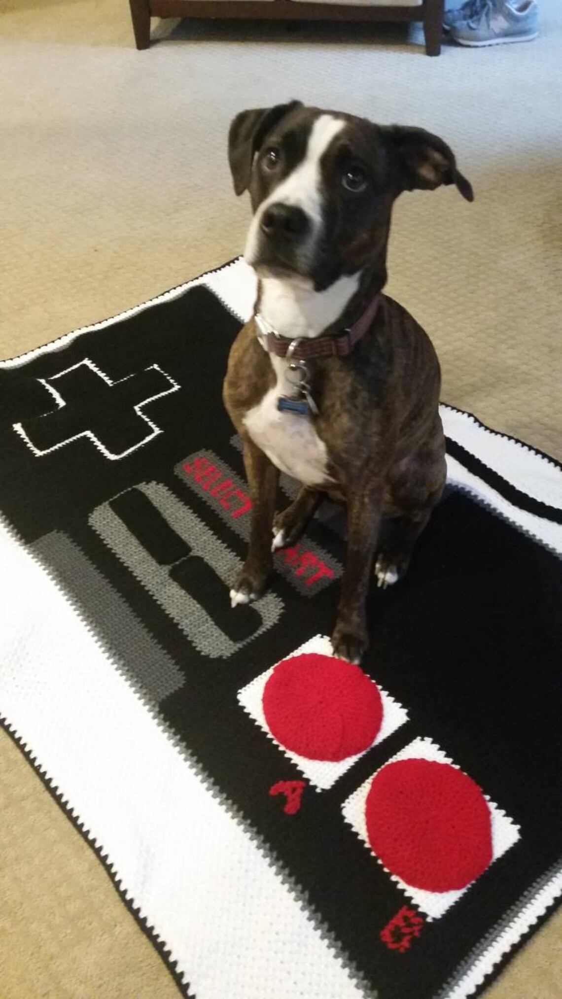 Crochet Nintendo Controller Blanket - Etsy