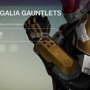 Destiny Iron Regalia, Pepakura File for Full Armor in Foam or Eva ...