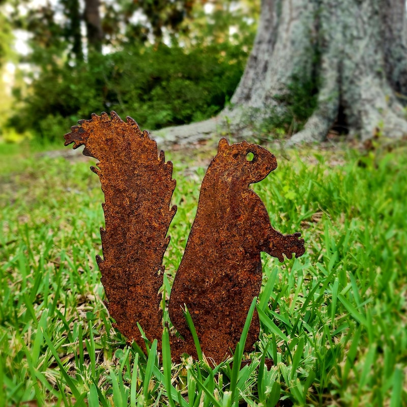 Backyard Gardens Shop - Etsy