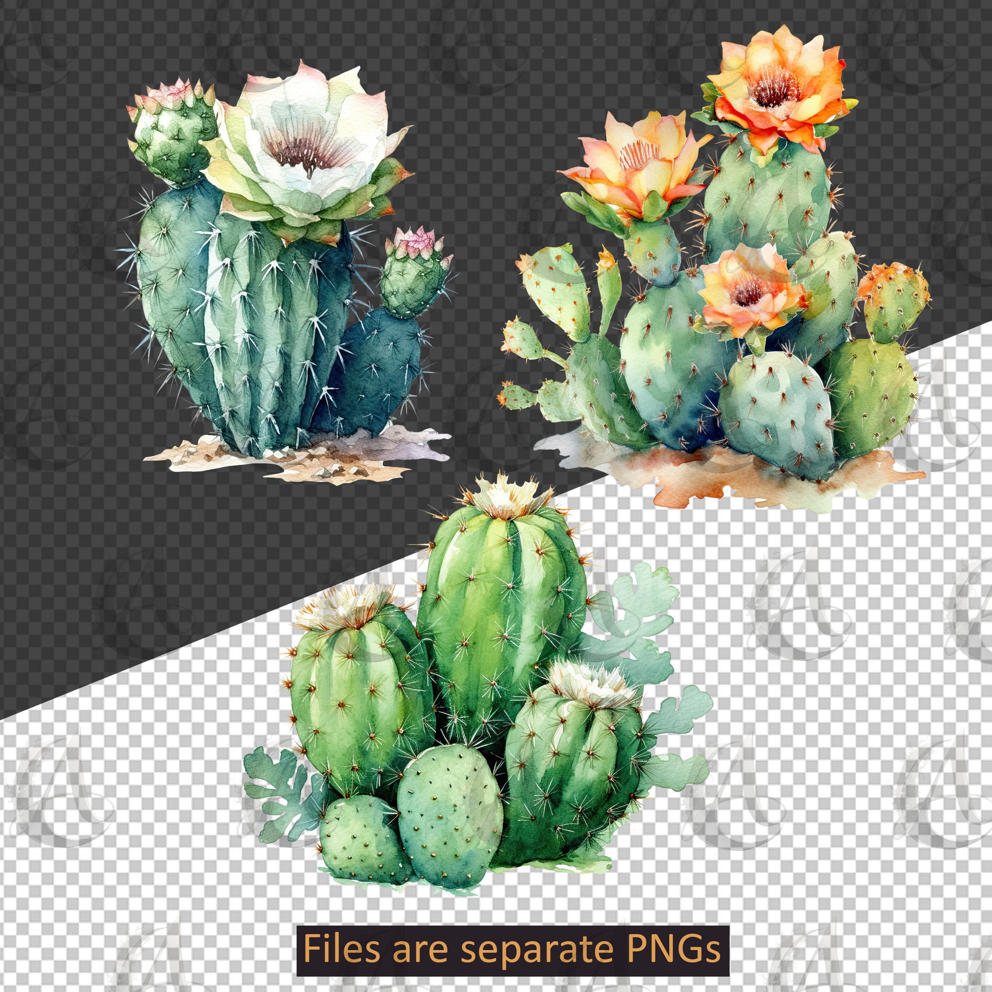 Watercolor Cactus Clipart Set - PNG Instant Download Commercial Use - Etsy