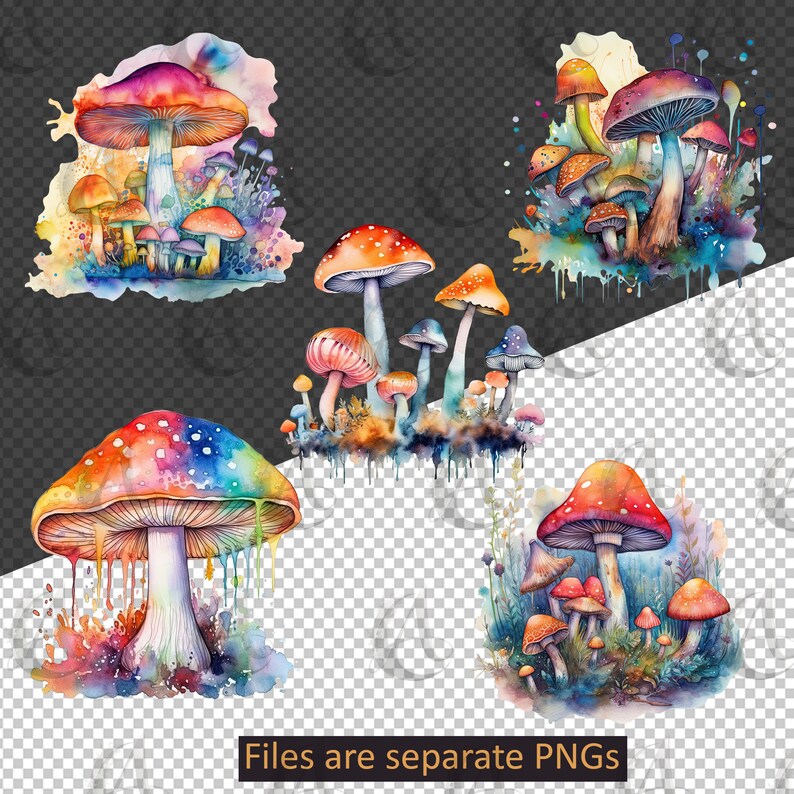Rainbow Mushrooms Watercolor Clipart Set PNG Instant - Etsy
