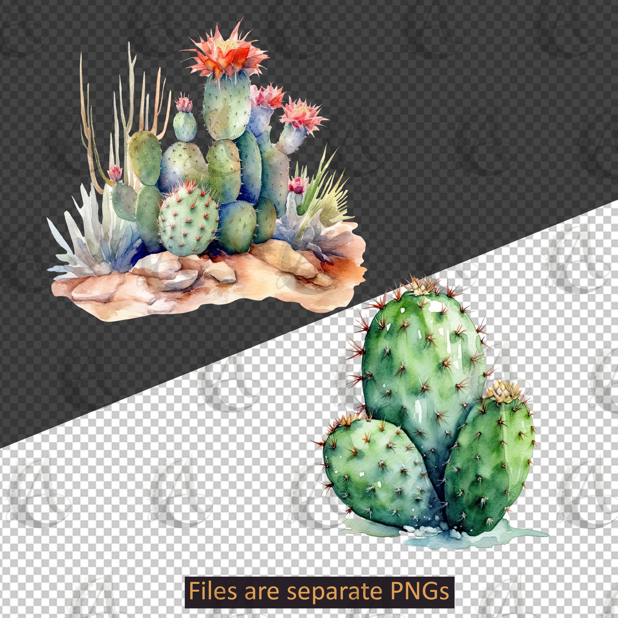 Watercolor Cactus Clipart Set PNG Instant Download Commercial Use - Etsy