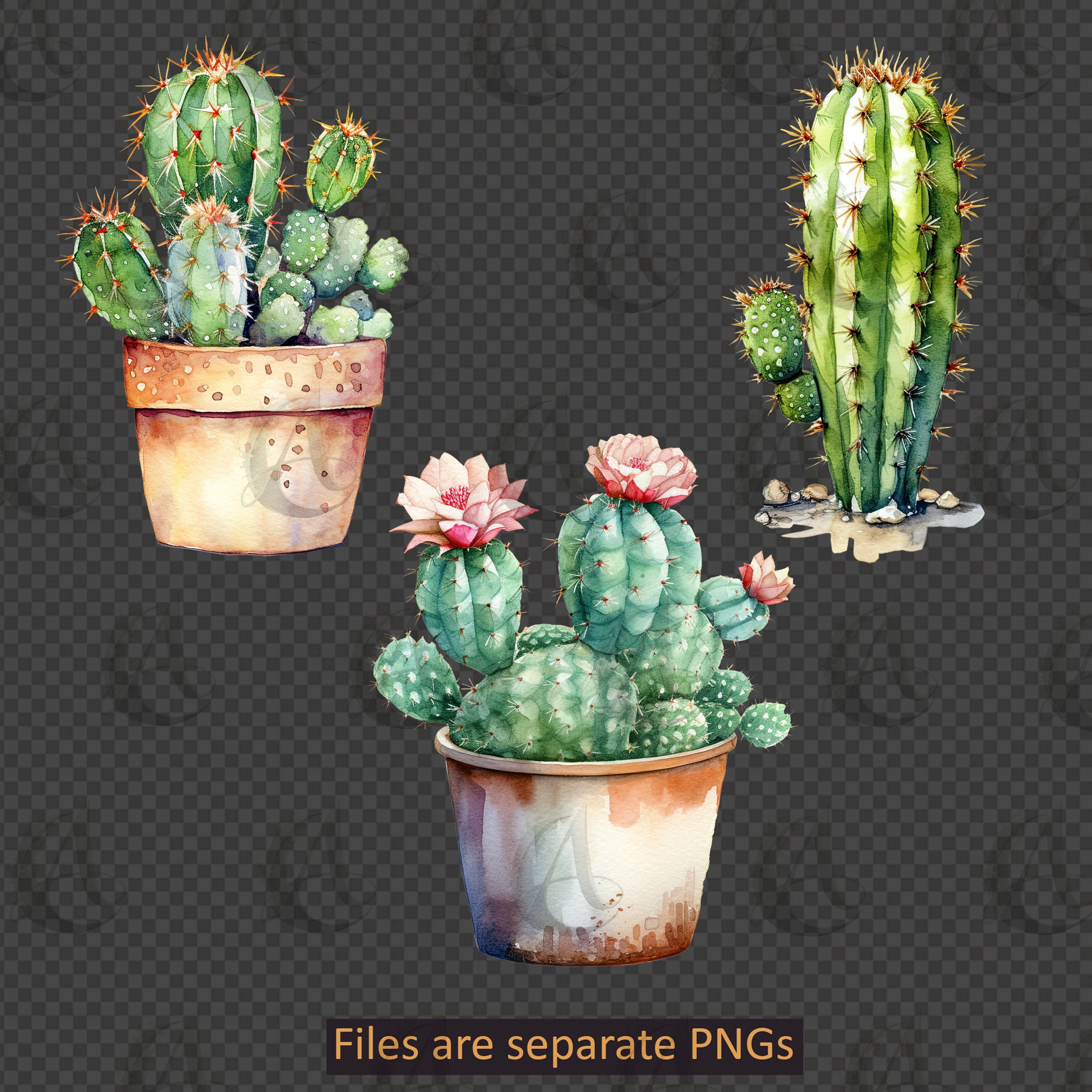 Watercolor Cactus Clipart Set - PNG Instant Download Commercial Use - Etsy