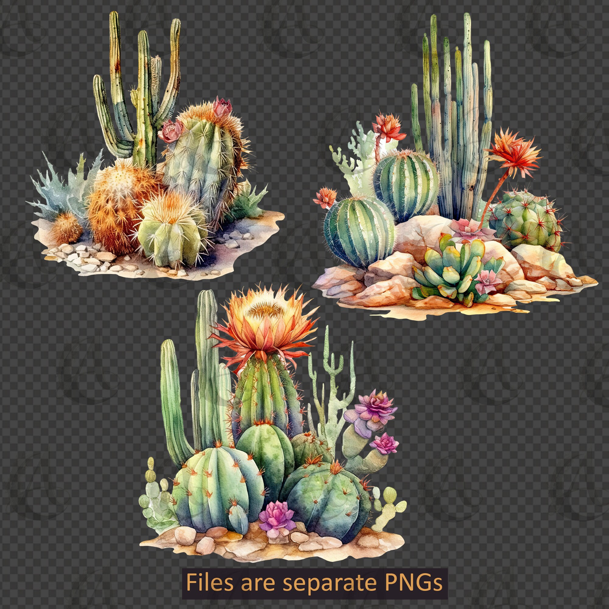 Watercolor Cactus Clipart Set - PNG Instant Download Commercial Use - Etsy