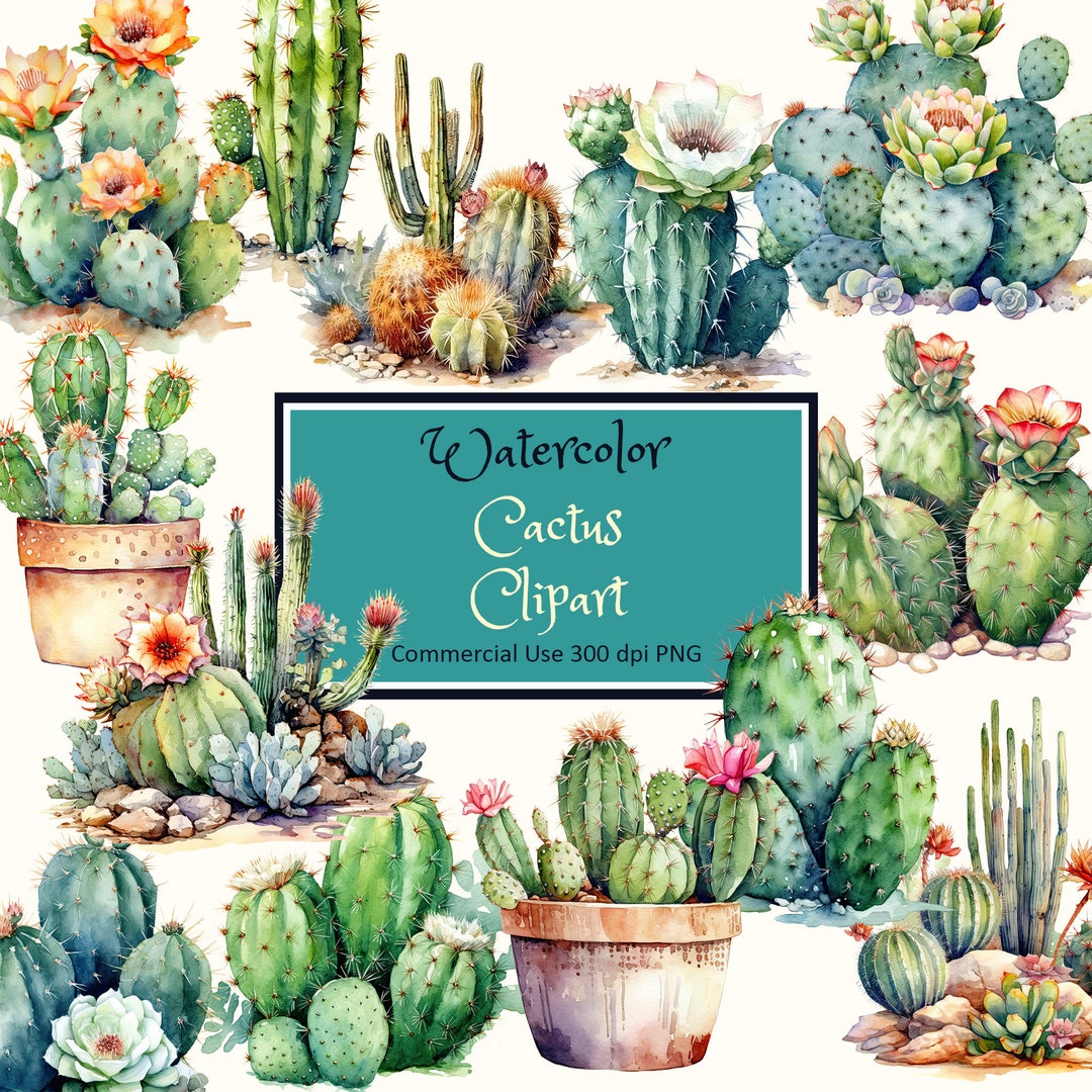 Watercolor Cactus Clipart Set - PNG Instant Download Commercial Use - Etsy