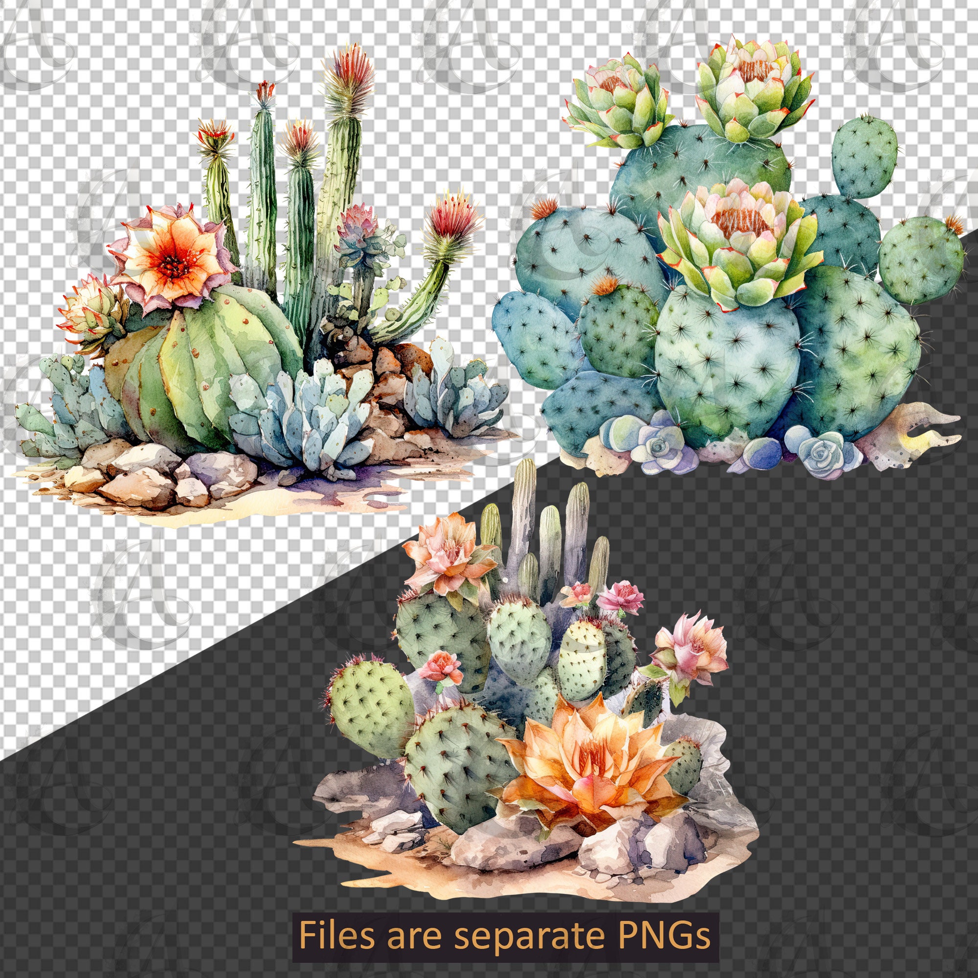 Watercolor Cactus Clipart Set - PNG Instant Download Commercial Use - Etsy