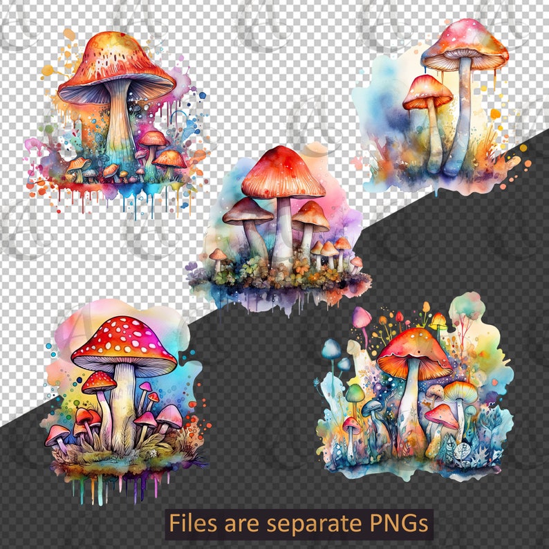 Rainbow Mushrooms Watercolor Clipart Set PNG Instant - Etsy