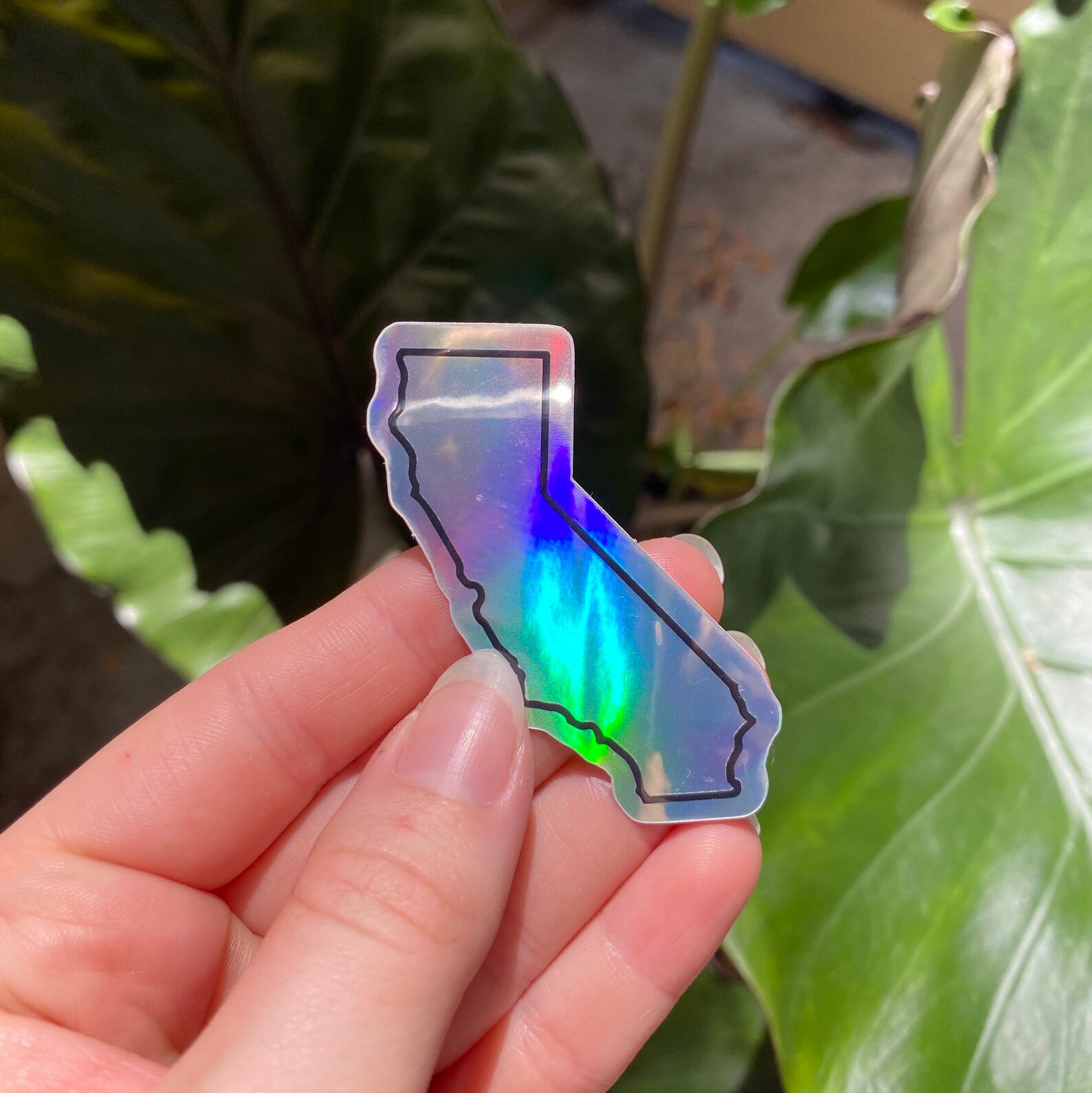 California Holographic Vinyl Sticker Cali California Love - Etsy