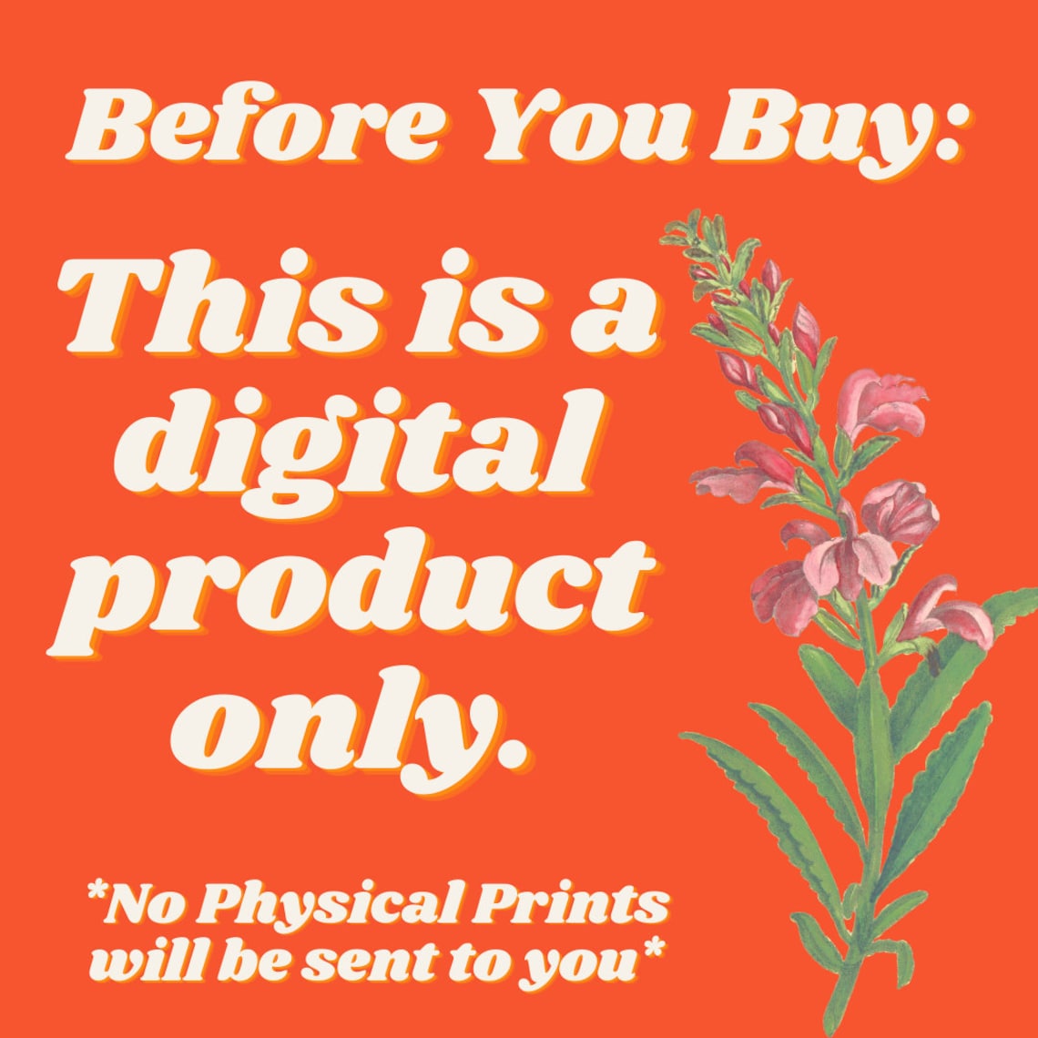 Y2K Aesthetic 90s Wall Collage Kit/early 2000s Indie - Etsy