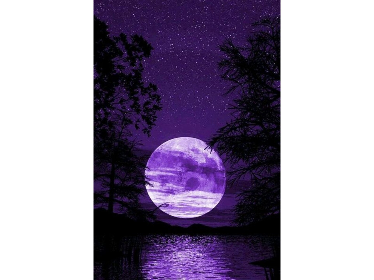 Purple Wall Collage Kit , Dark Purple Collage Kit , Neon Aesthetic Wall ...