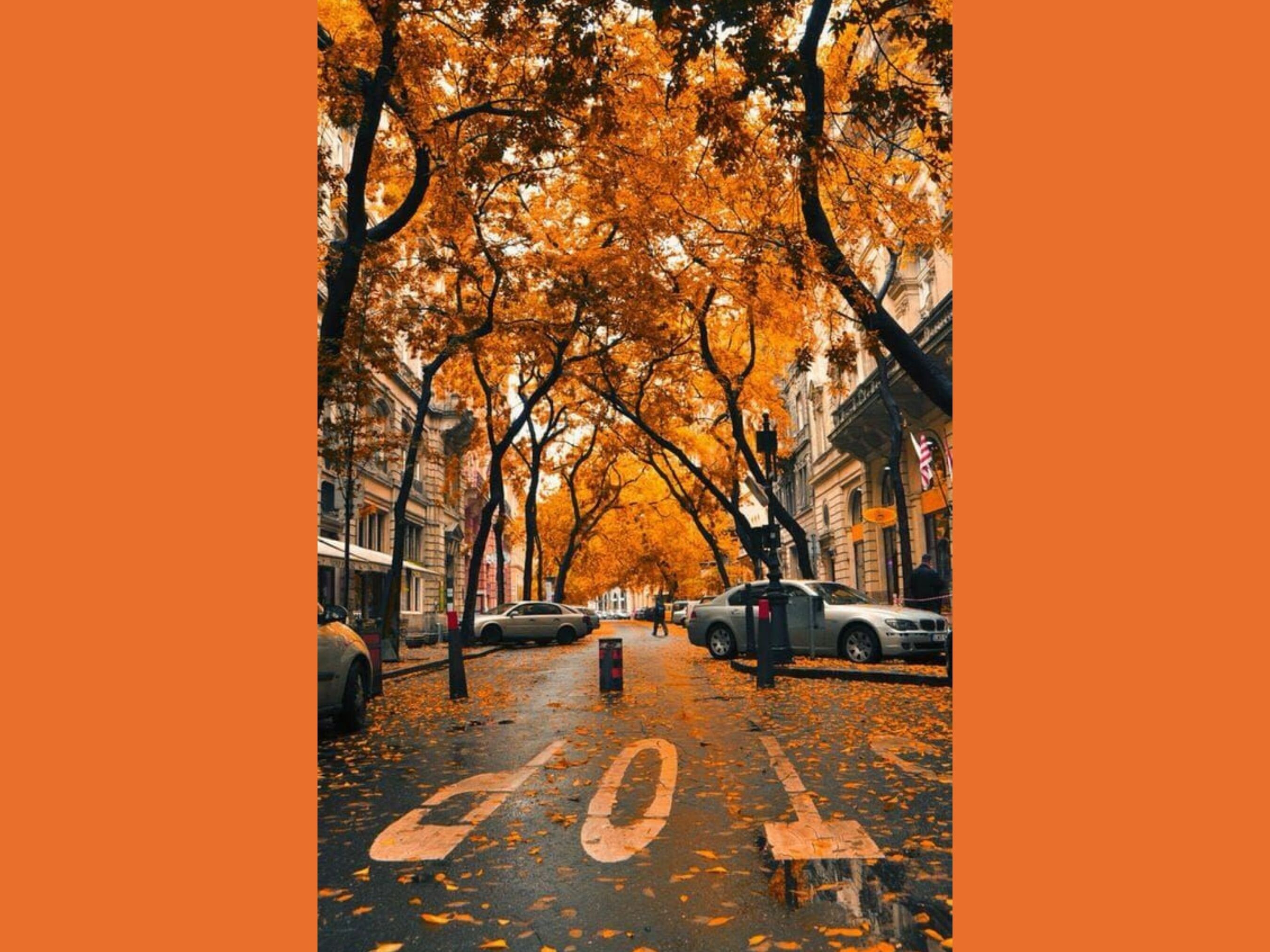 Halloween Wall Collage Kit , Fall Collage Kit , Orange Collage Kit ...