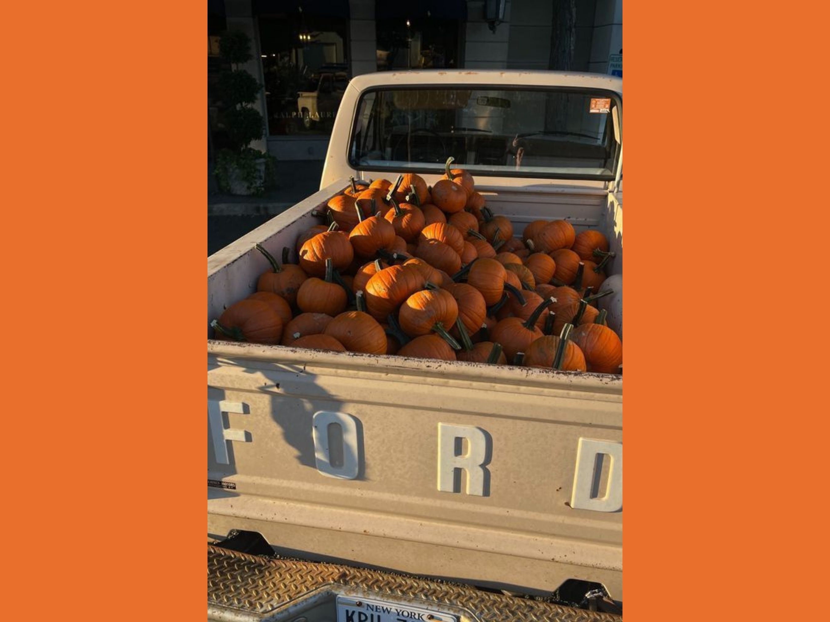 Halloween Wall Collage Kit Fall Collage Kit Orange Collage - Etsy