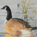CANADA GOOSE PRINT/ 18 X 25 - Etsy