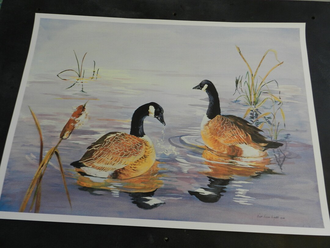 CANADA GOOSE PRINT/ 18" X 25" - Etsy