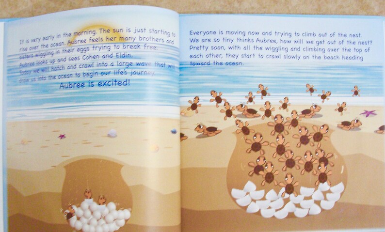 Mommy, Where Are You Endangered Turtles, Hatchlings, Baby Turtles ...