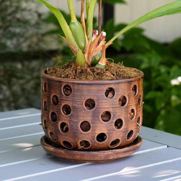 12 Inch Orchid Pot With Holes - Etsy