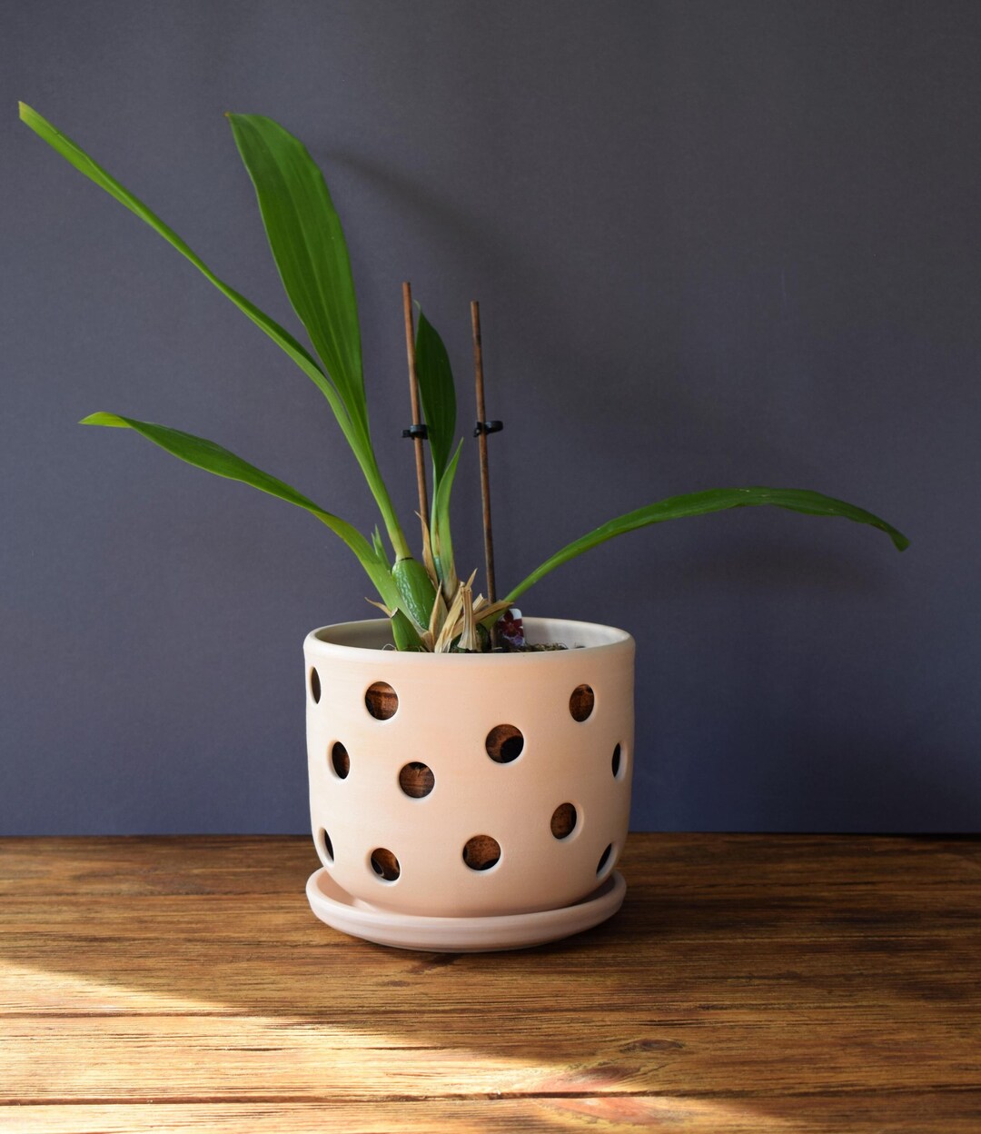Natural Orchid Pots With Holes Handcrafted White Unglazed Finish With ...
