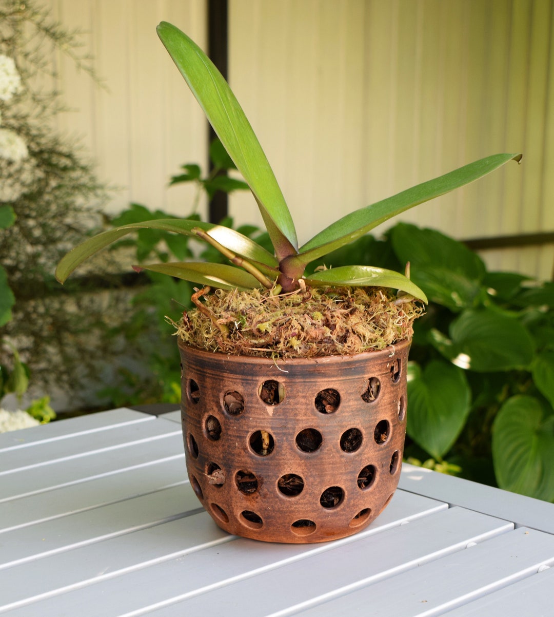 Orchid Pot With Holes. Handmade Ceramic Orchid Planter. Succulent Pot ...