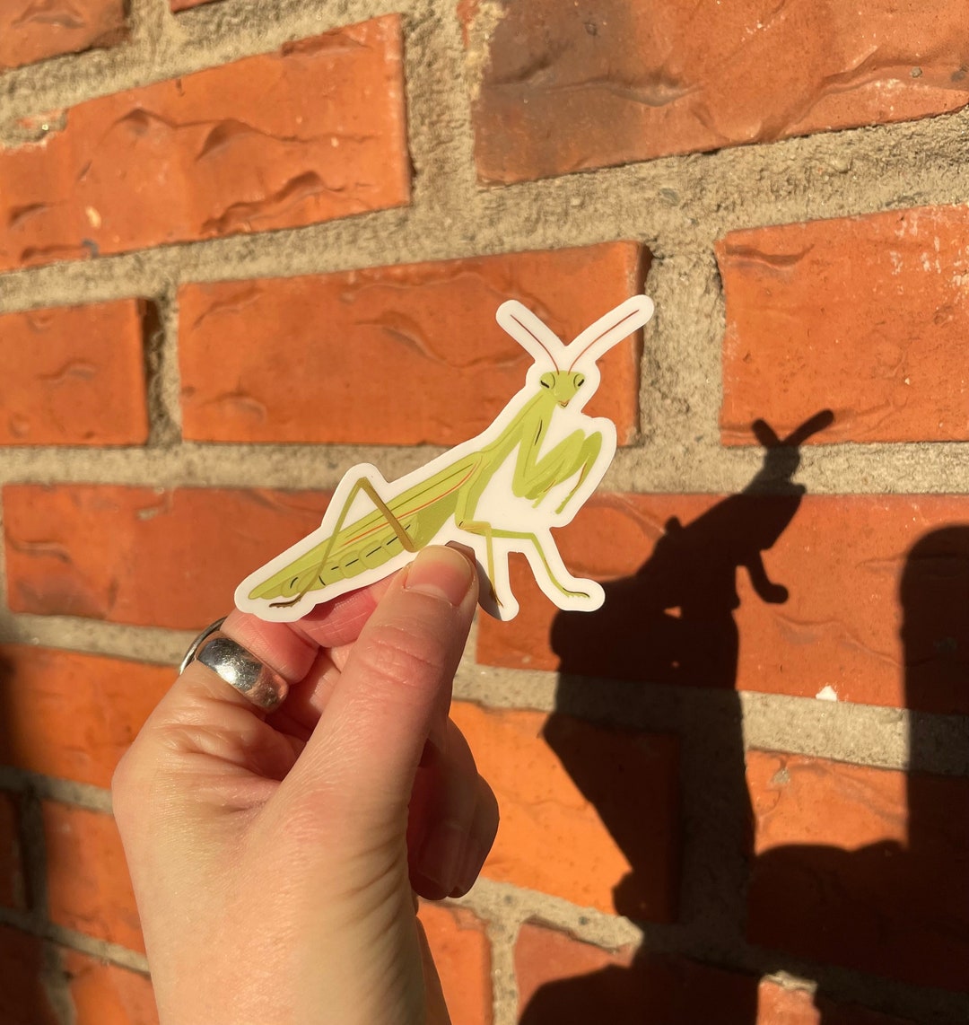 Praying Mantis Vinyl Die Cut Stickers - Etsy