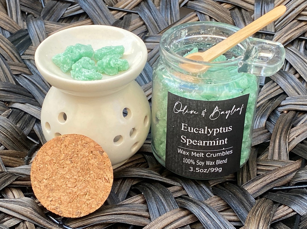 Wax Melt Crumbles & Tea Light Wax Warmer Set, Coconut Wax, Soy Wax ...