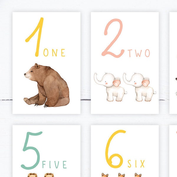 Number Flash Cards - Etsy