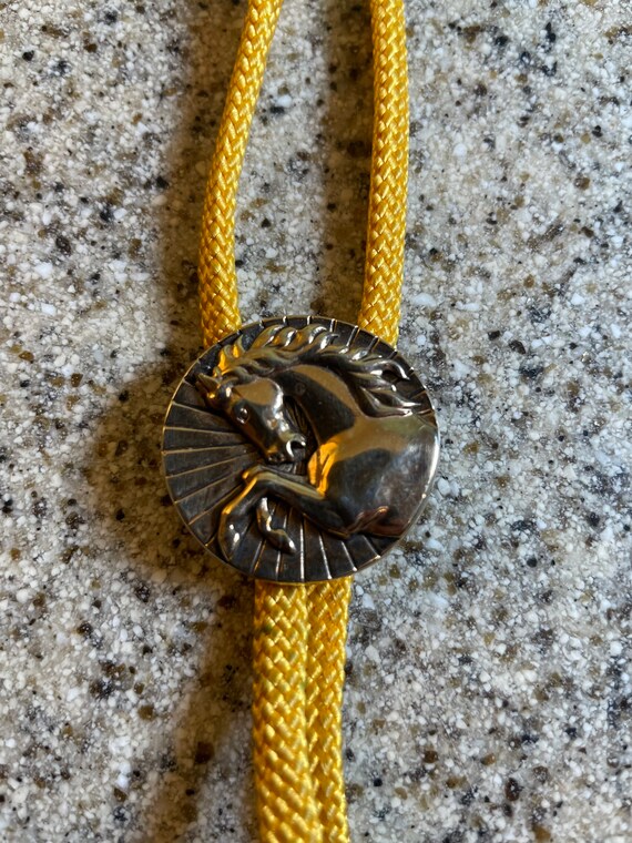 horse bolo tie vintage - Gem