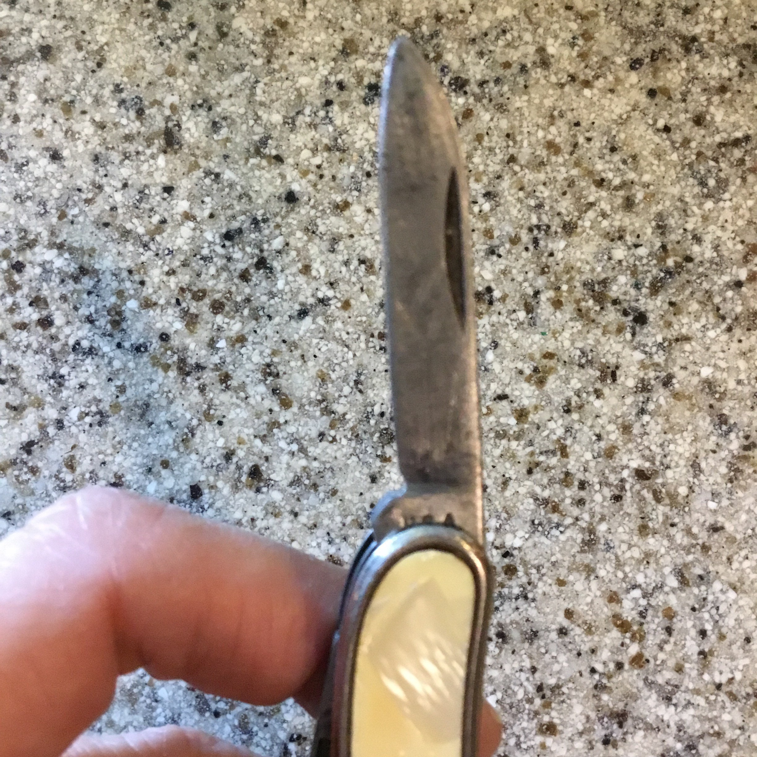 Vintage Colonial Two Blade Pocket Knife with Celluloid Handle | Etsy