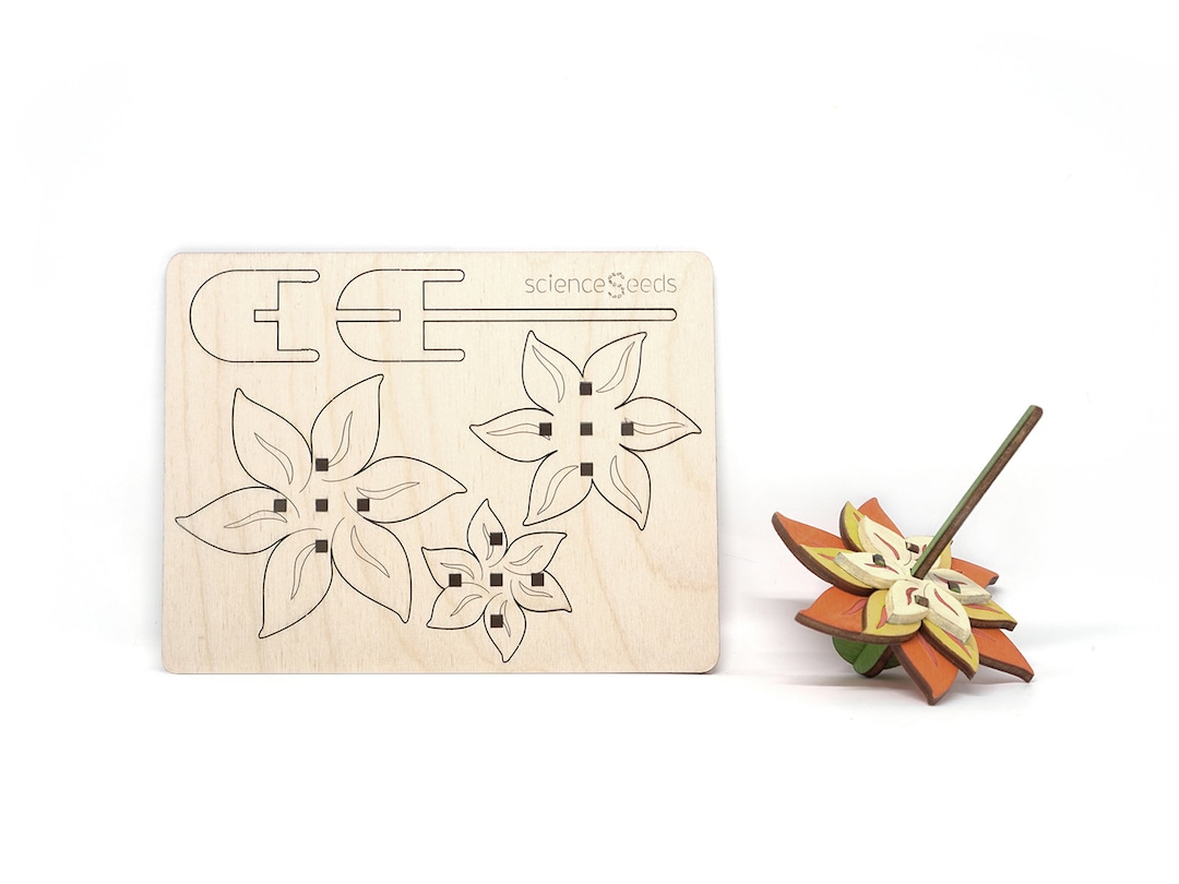 Lily Flower Spinning Top Kit, DIY Tops, Wooden Laser Cut Tops - Etsy
