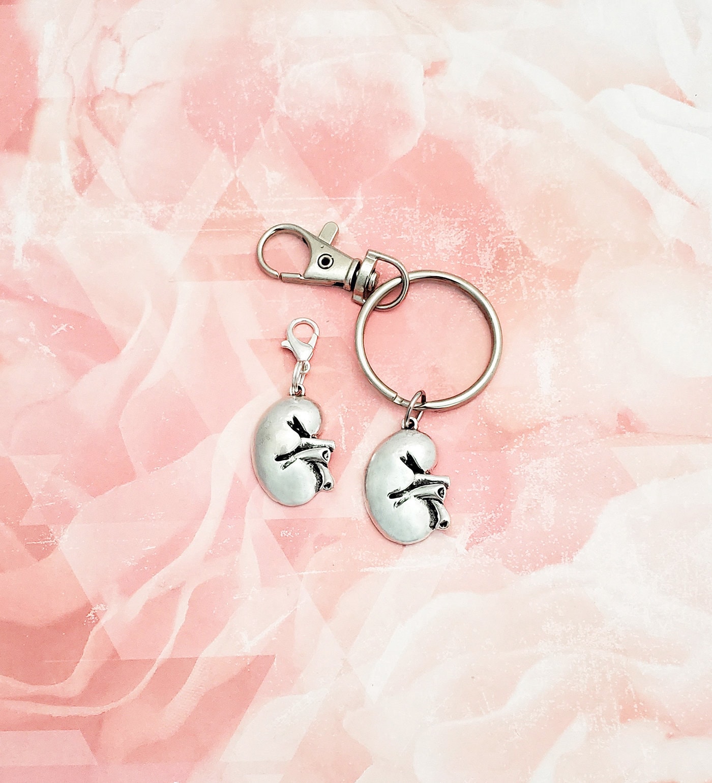 Anatomical Kidney Keychain: Silver Kidney Zipper Pull With Initial ...
