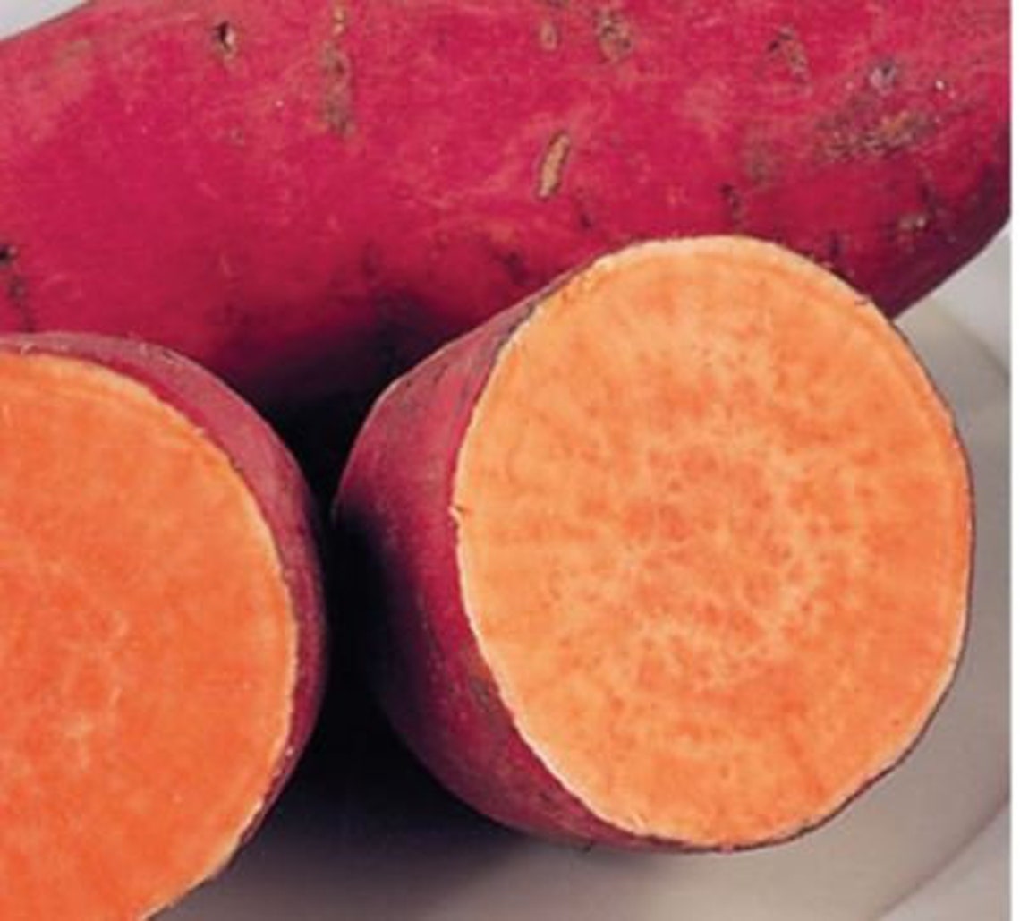 Fresh Red Sweet Potatoes-4 Lbs-standard Shipping Included. - Etsy