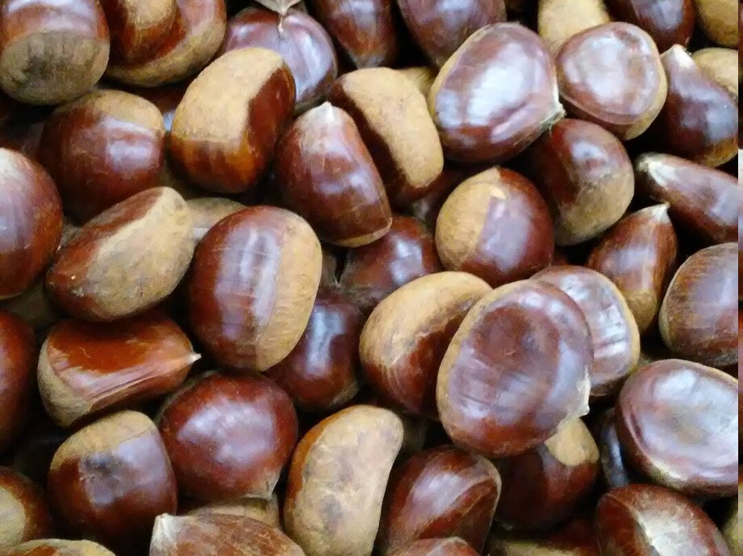 Raw chestnuts store