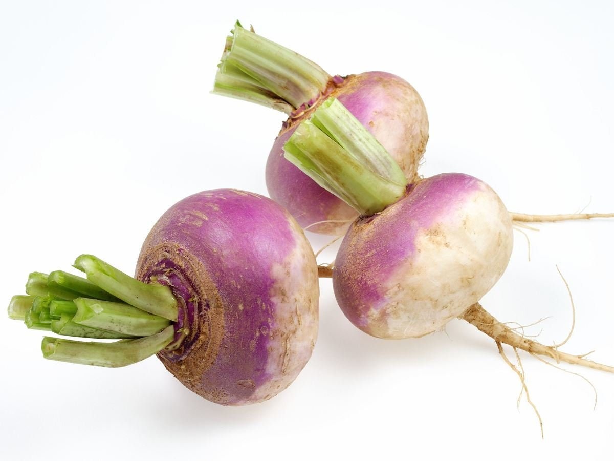 Fresh Turnips-3 Lbs-standard Shipping Included. - Etsy