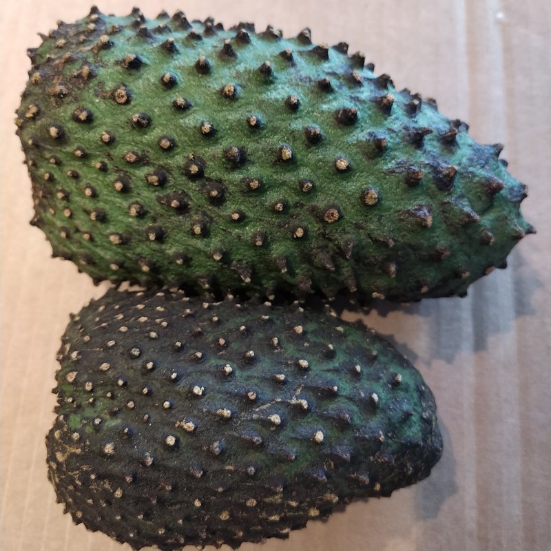Soursop Fruit - Etsy