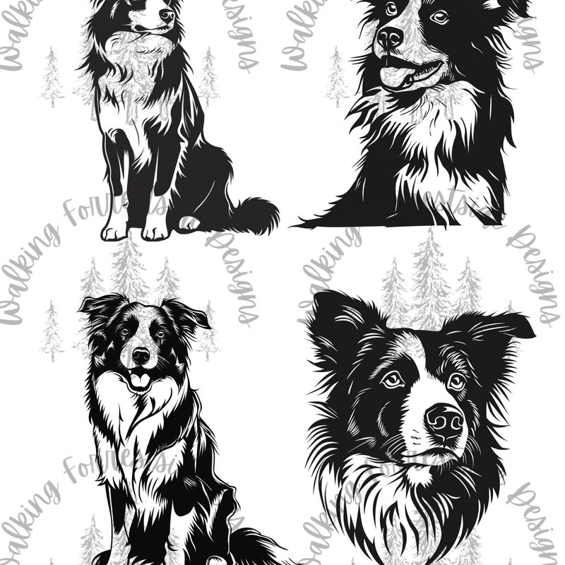 Border Collie Svg - Etsy