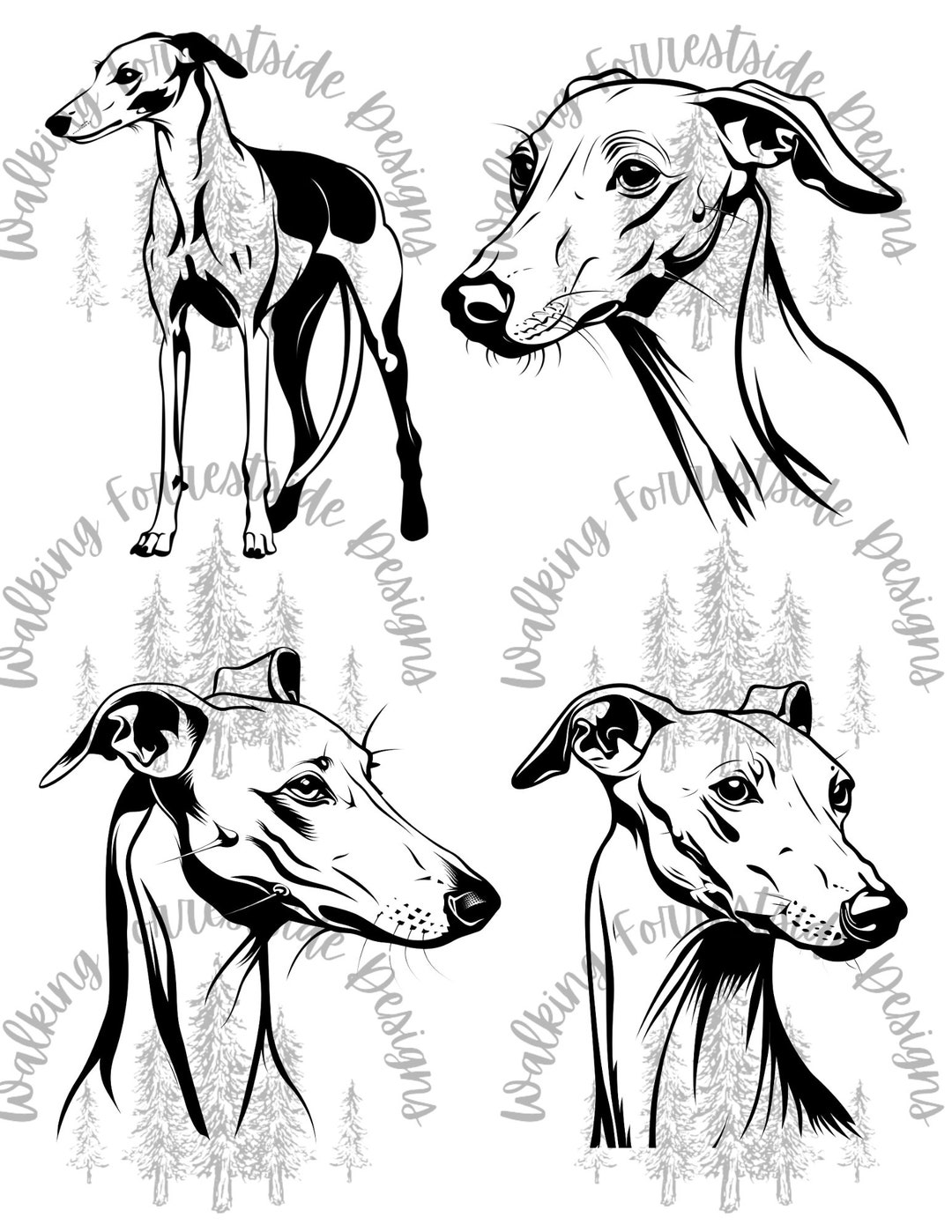 Greyhound SVG/PNG Collection: Dog Clipart for Creative Projects ...