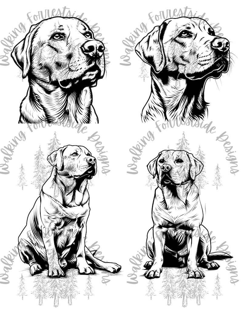 Labrador Retriever SVG/PNG Collection: Dog Clipart for Creative ...