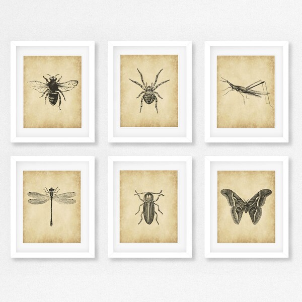Bug Art Print - Etsy