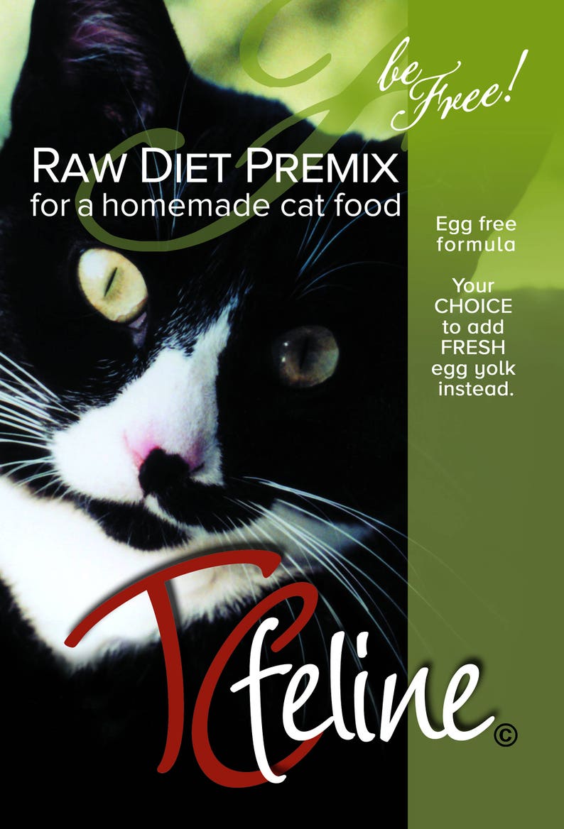 4.2oz Tcfeline Raw Cat Food Premix/supplement to Make Homemade Raw Cat ...