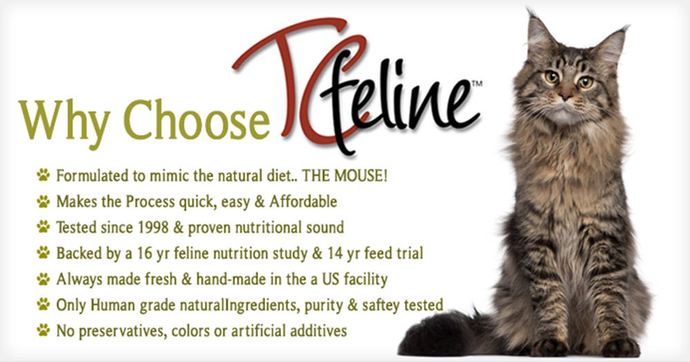 4.2oz Tcfeline Raw Cat Food Premix/supplement to Make Homemade Raw Cat ...
