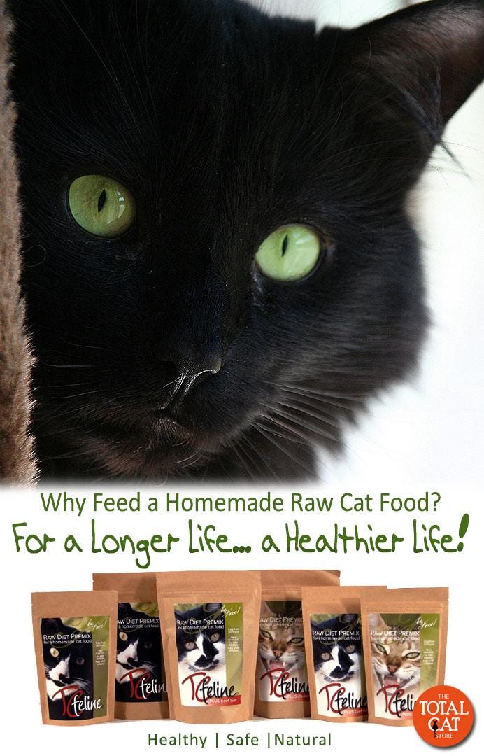 4.2oz Tcfeline Raw Cat Food Premix/supplement to Make Homemade Raw Cat ...