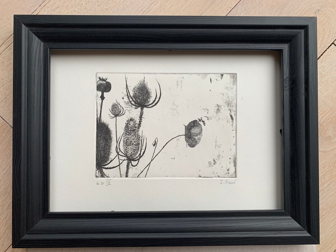 Fine Art Etching of a Poppy and Meadow Flowers. Original Hand - Etsy