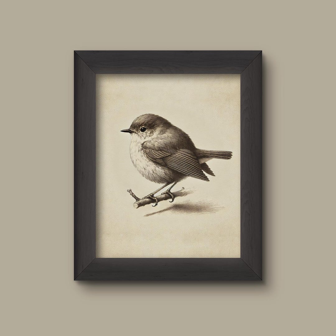 Vintage Bird Sketch Art Print - Etsy